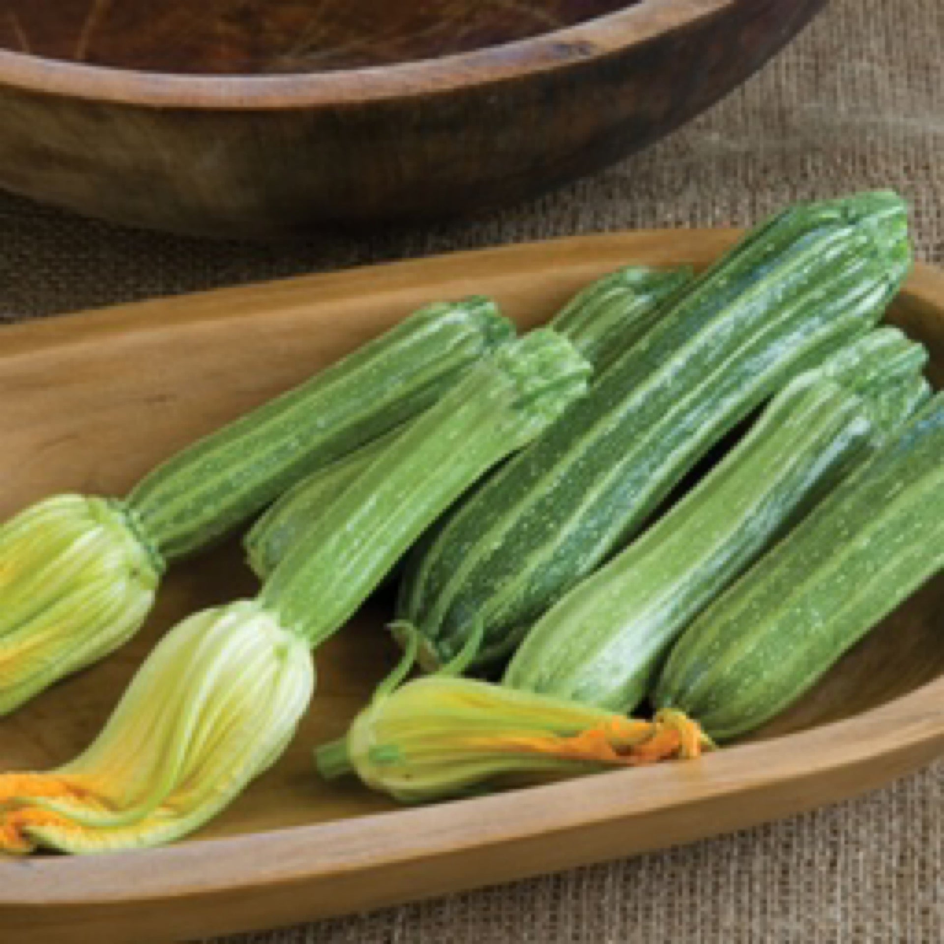 Zucchini Costata Romanesco | Lucayda Farm | Shop Now