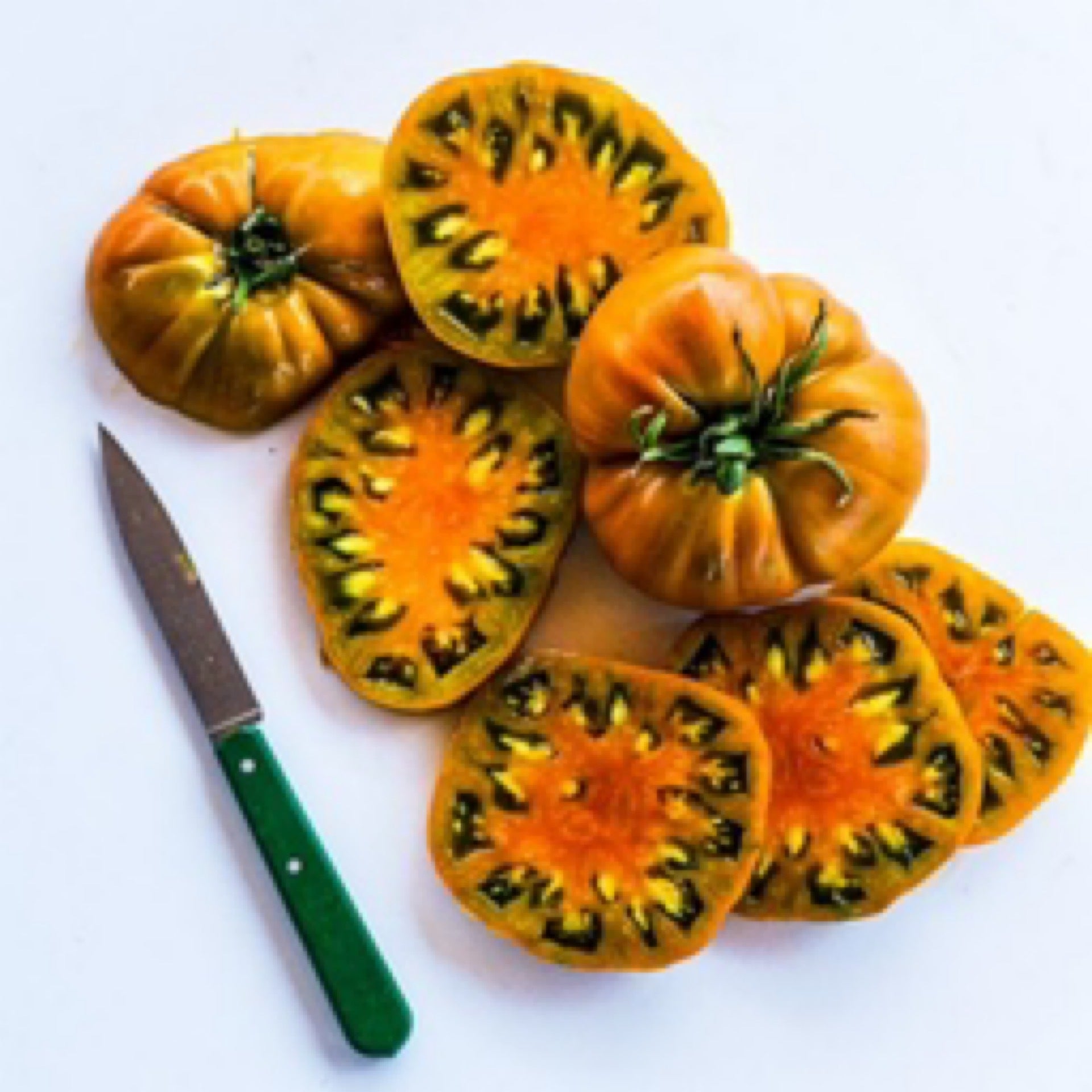 Tomato, Thorburn’s Terra-Cotta | Lucayda Farm | Shop Now