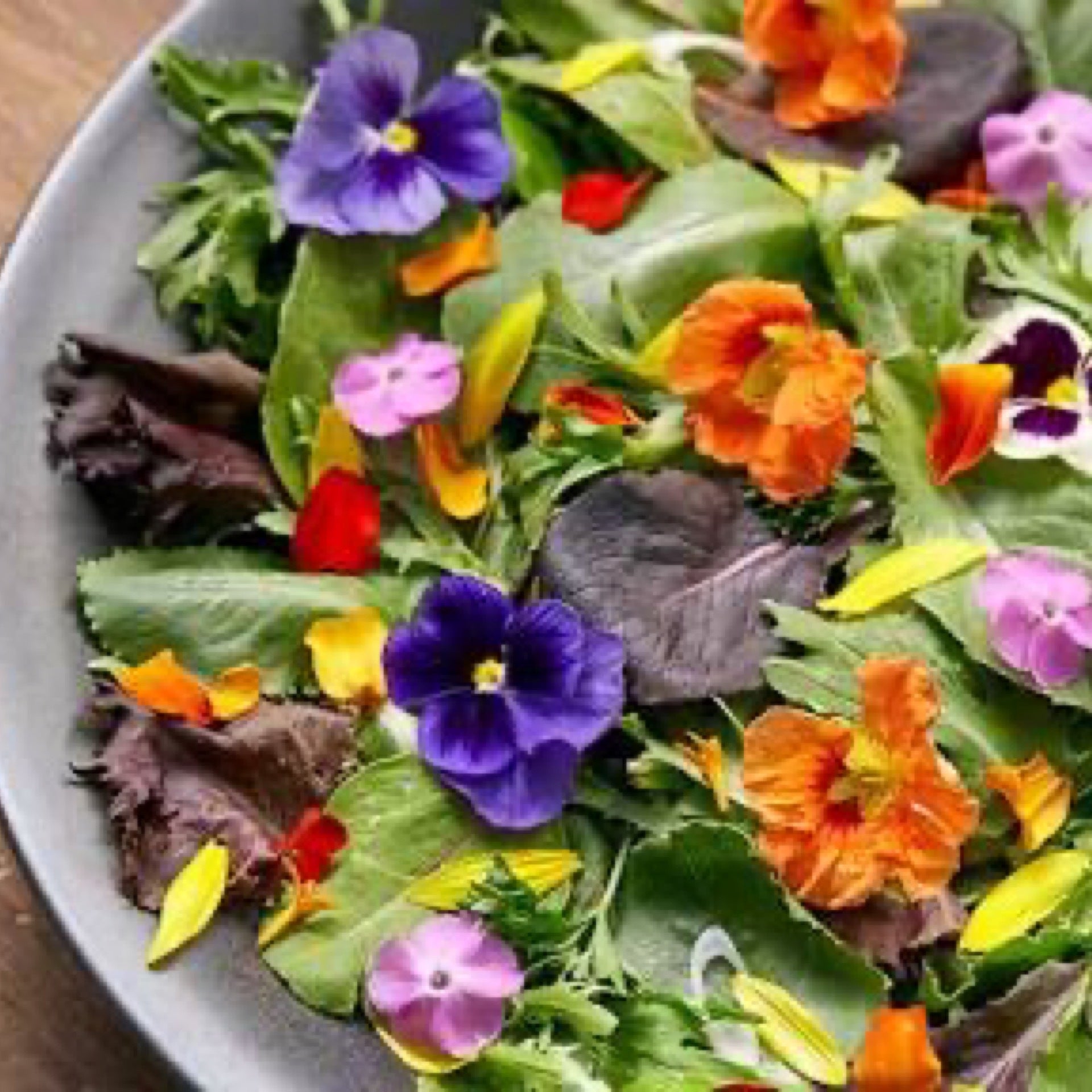 Edible Flower Kit | Lucayda Farm | Shop Now